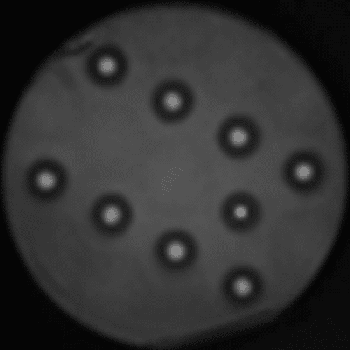 Multicore Optical Fiber | OFS