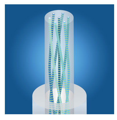 Fiber Optic Shape Sensing